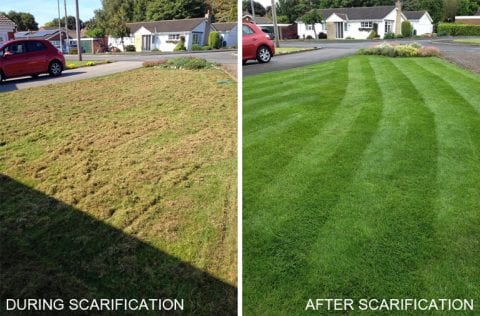 Lawn Scarification Service - Johnson Gardening Services Ltd